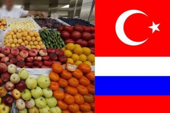 Importations de fruits et légumes, Turquie : Russie